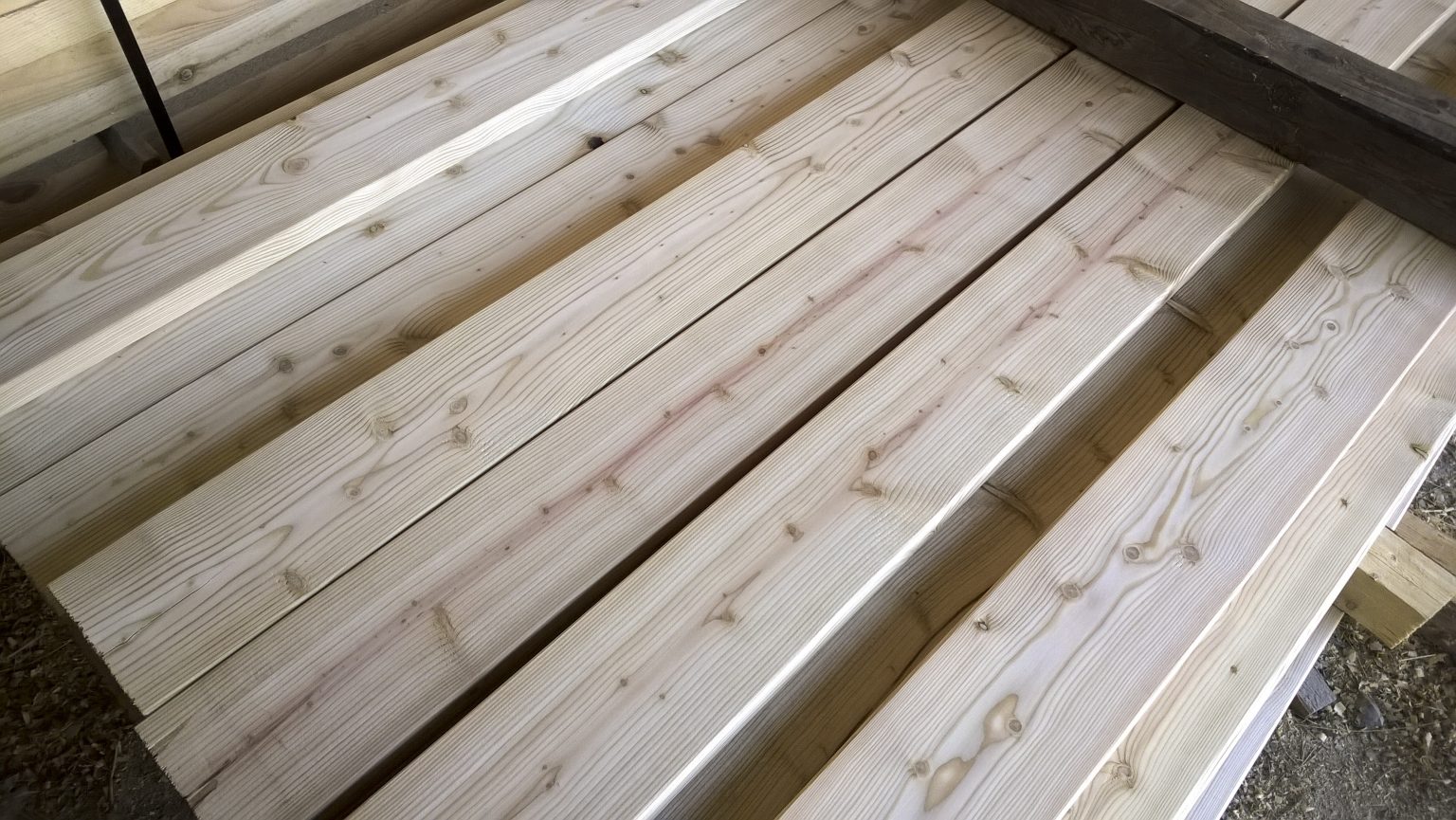 Lehtikuusi terassilauta - Metsätila-arviointi O. Nieminen